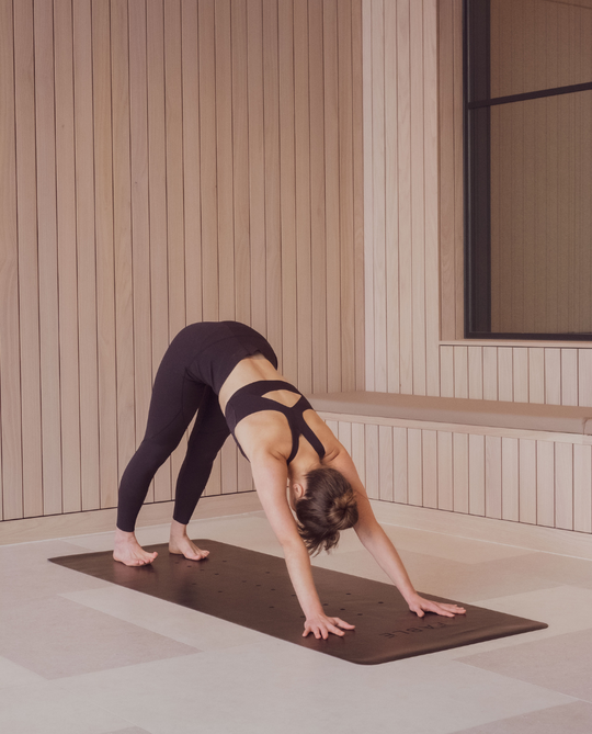 Dandy | Your Digital Sanctuary